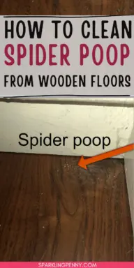 How To Clean Spider Poop From Wooden Flooring (naturally) - Sparkling Penny