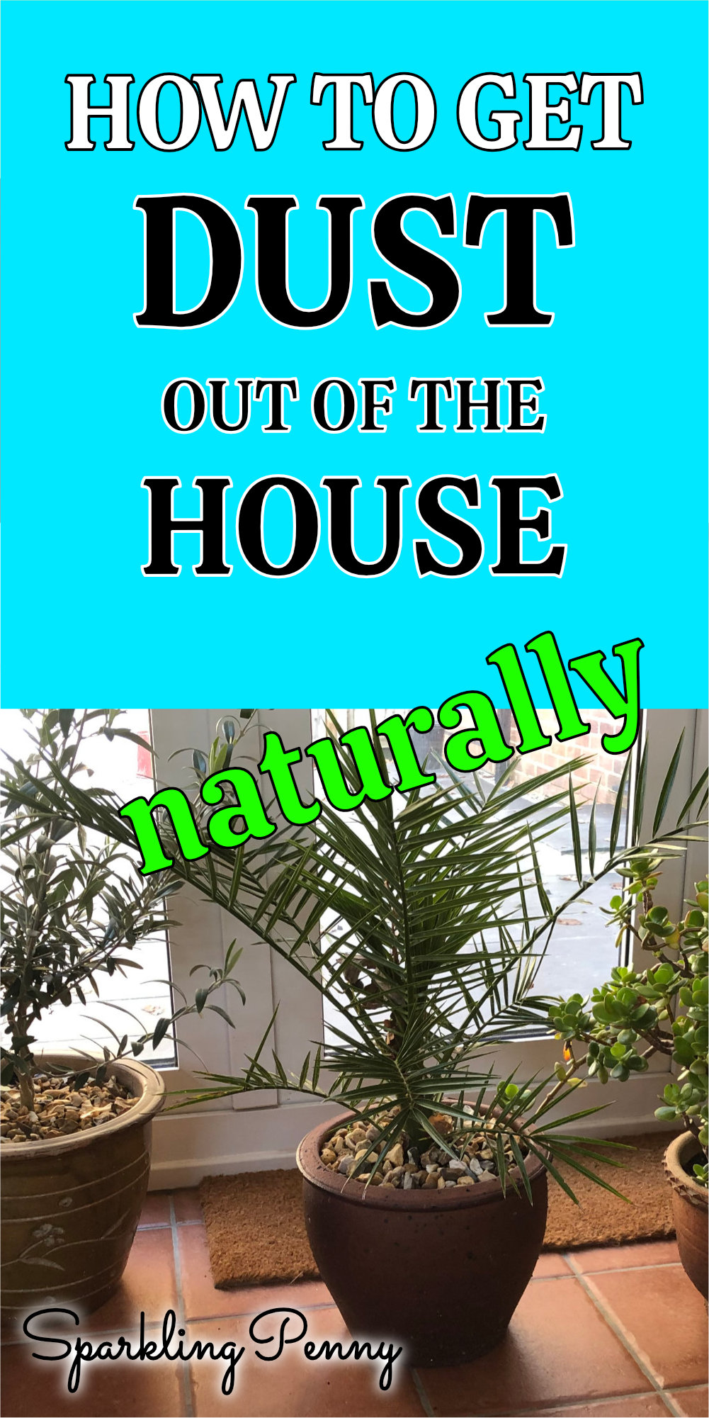 How To Get Dust Out Of The Air Naturally - Sparkling Penny