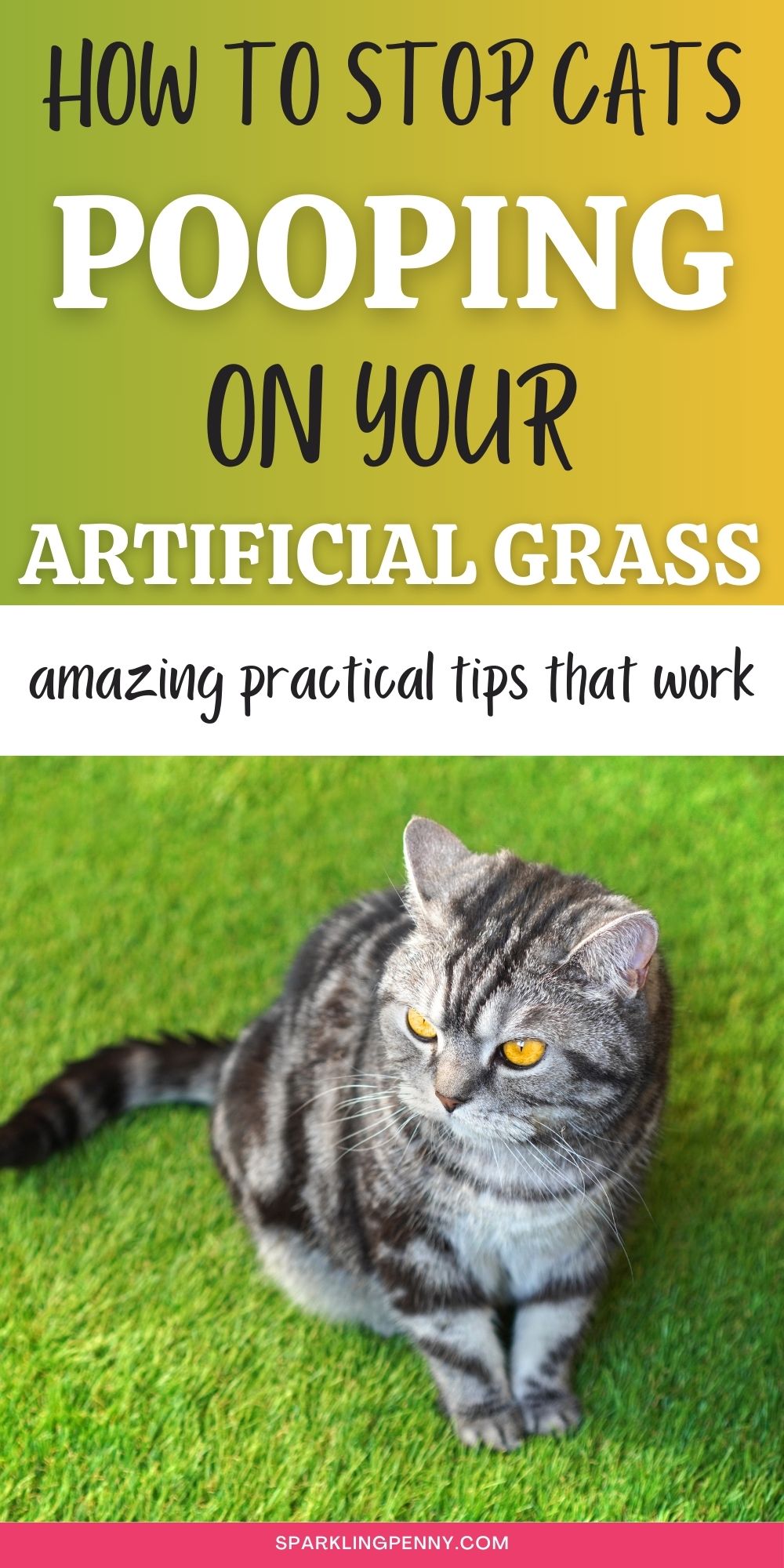 How To Stop Cats Pooping on Artificial Grass Using Natural Methods ...