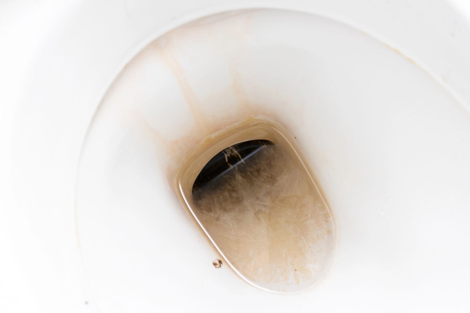 How To Get Your Toilet Looking Like New Again With A Pumice Stone ...
