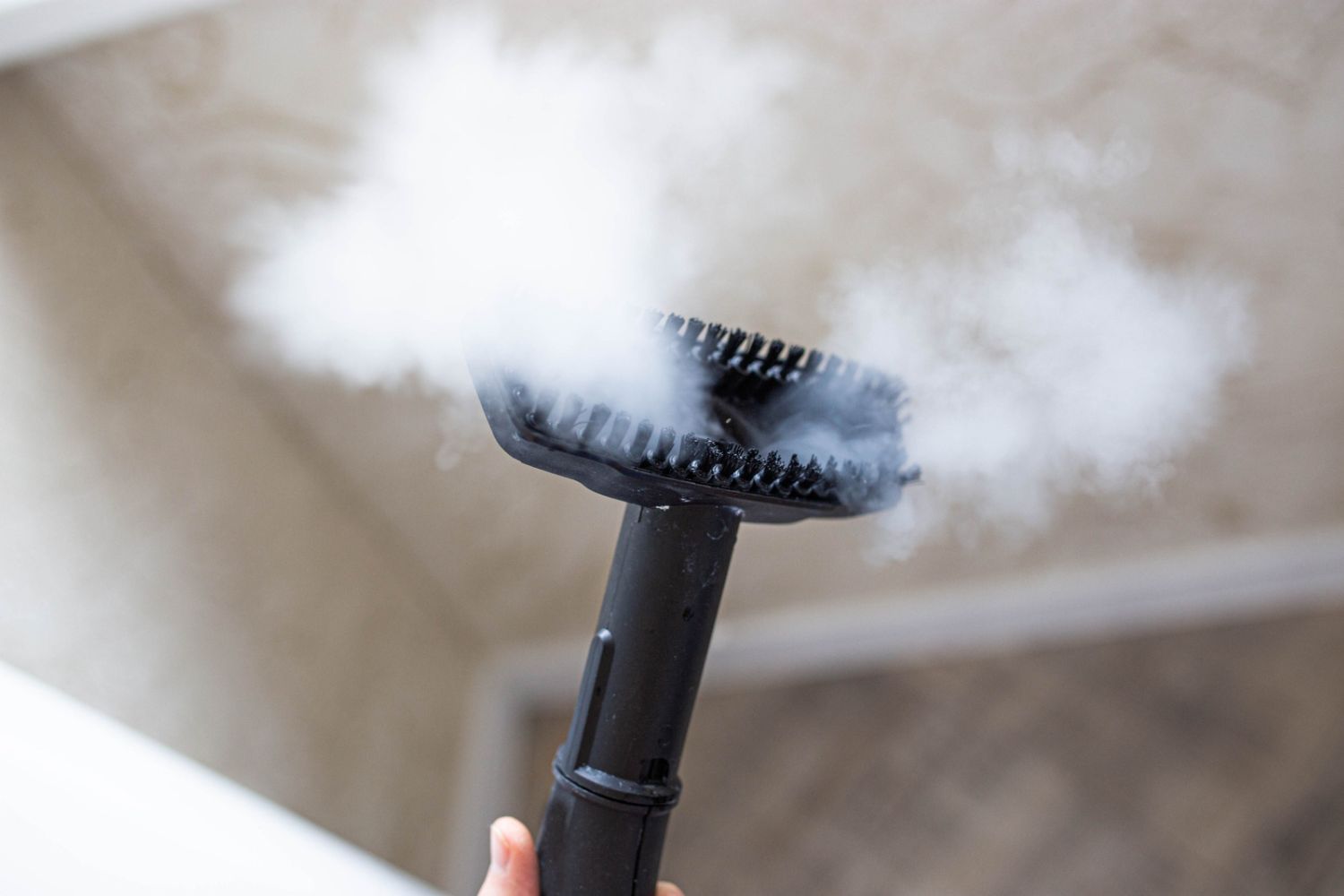 9 Effective Ways To Get Rid of Dust Mites in Your Mattress - Sparkling ...