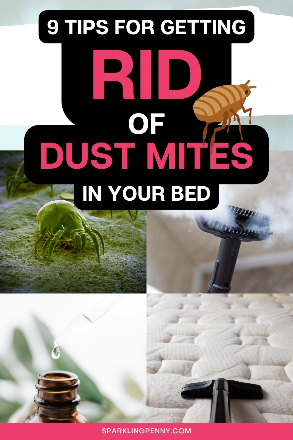 9 Effective Ways To Get Rid of Dust Mites in Your Mattress - Sparkling ...