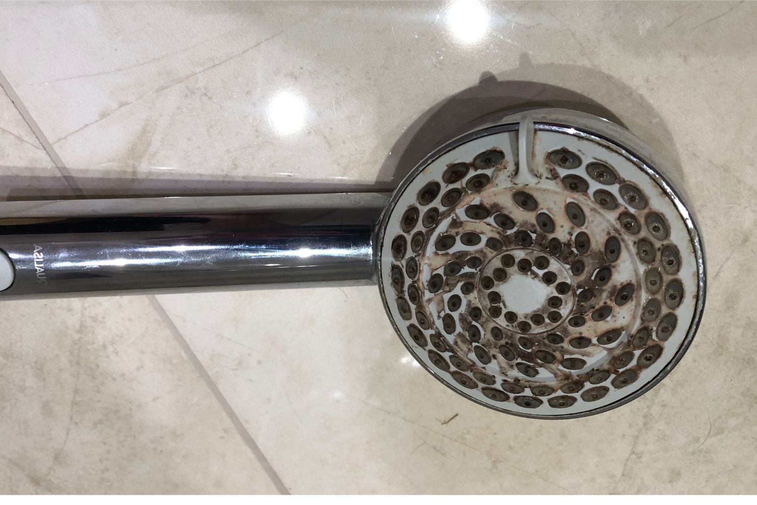 How to Clean a Shower Head With Lemon Juice - Sparkling Penny