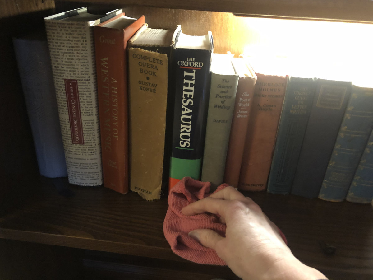 How To Keep Books Dust-Free - Sparkling Penny