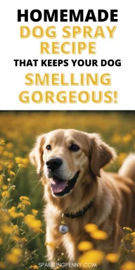 Homemade Dog Spray - A Natural Recipe That Works - Sparkling Penny