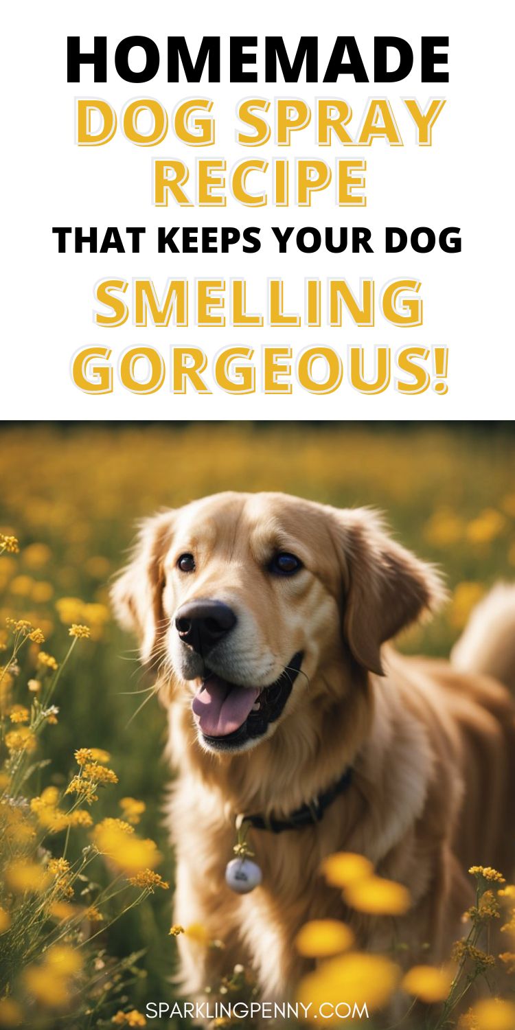 Homemade Dog Spray - A Natural Recipe That Works - Sparkling Penny