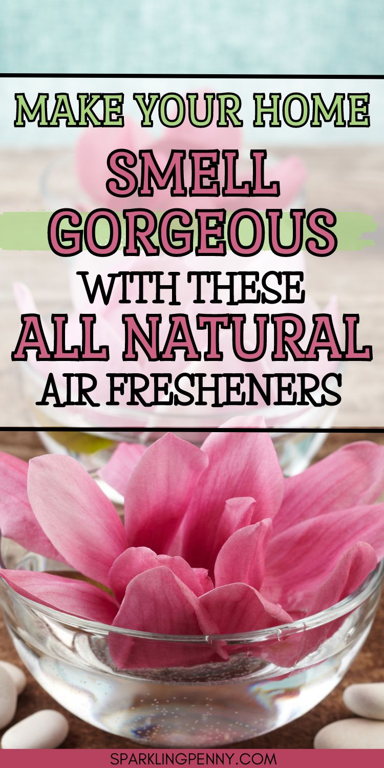 Make Your Home Smell Gorgeous With These All Natural Air Fresheners ...