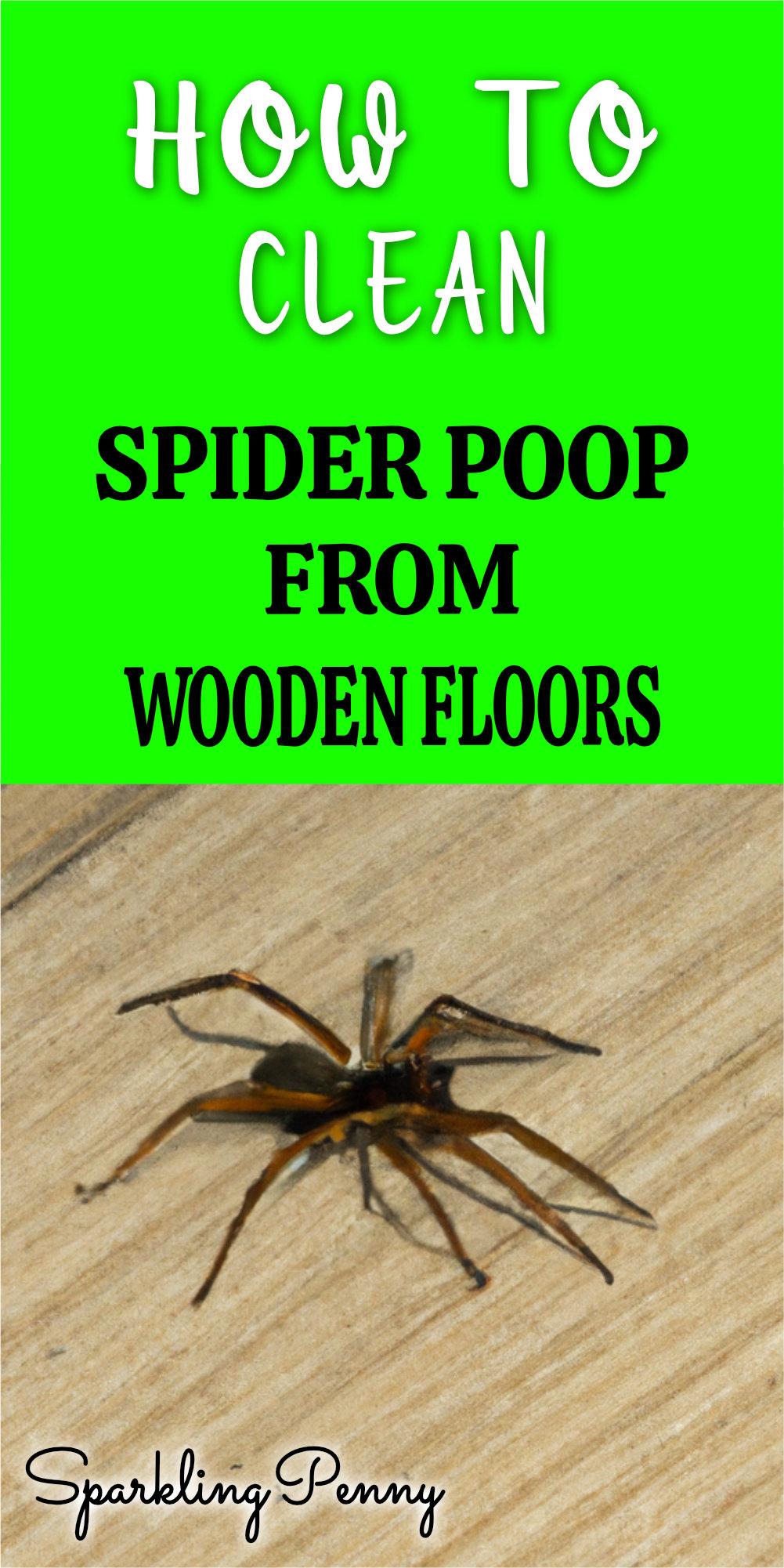 How To Clean Spider Poop From Wooden Flooring (naturally) - Sparkling Penny