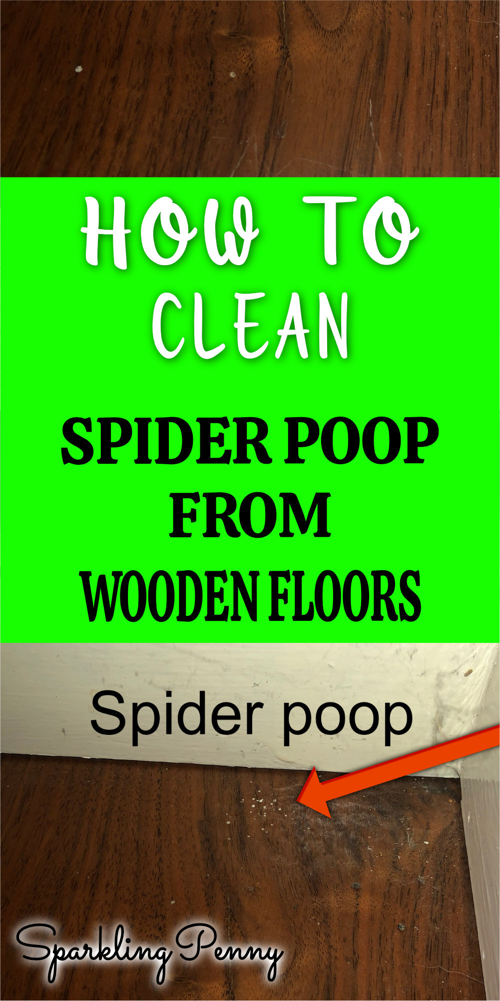 How To Clean Spider Poop From Wooden Flooring (naturally) - Sparkling Penny