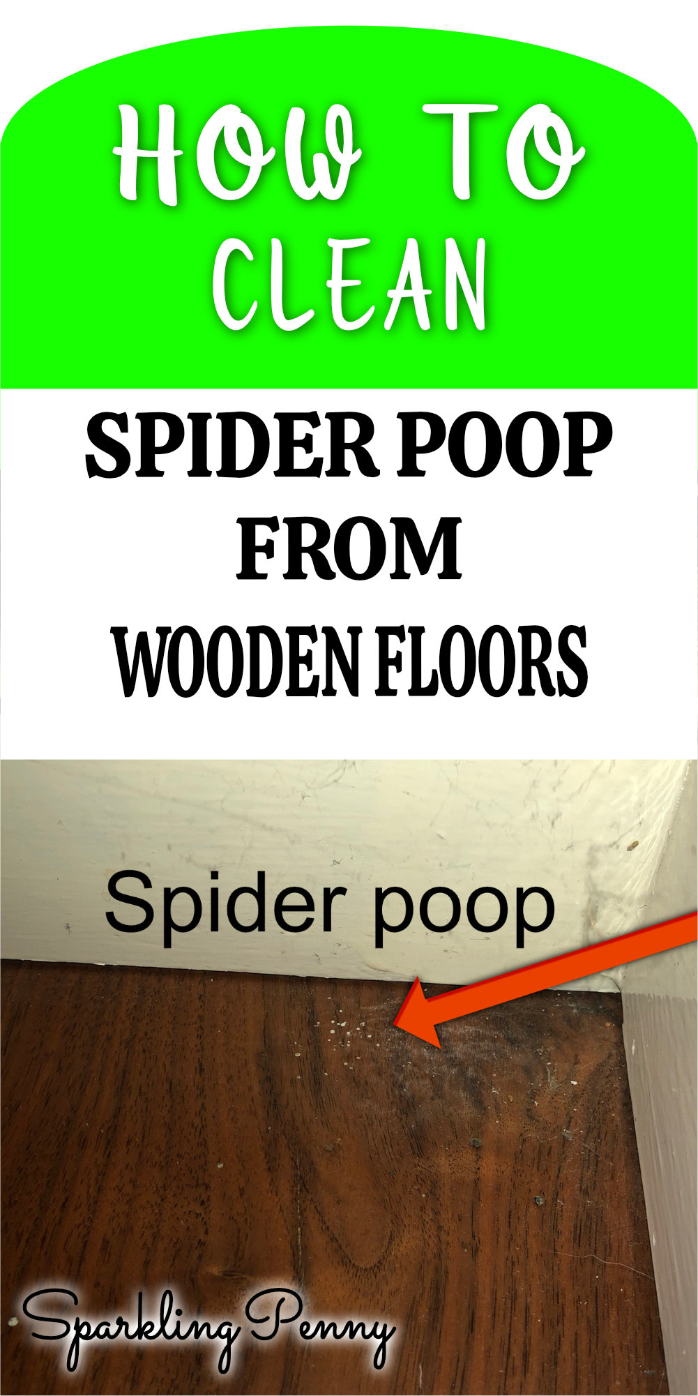 How To Clean Spider Poop From Wooden Flooring (naturally) - Sparkling Penny