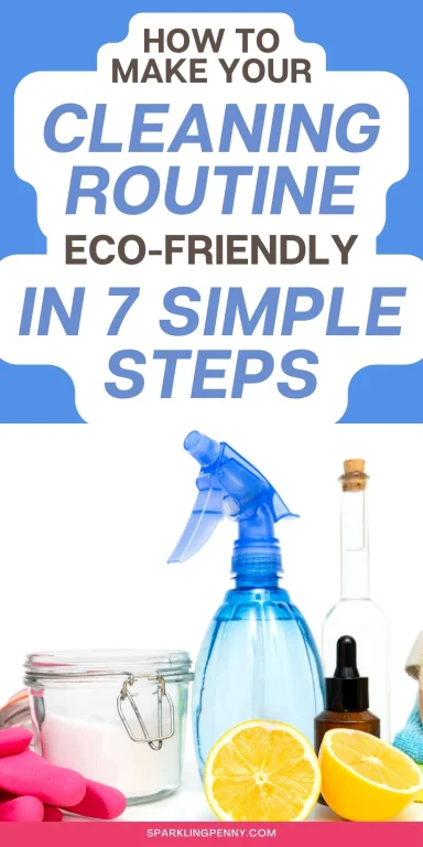Use This 7 Step Action Plan To Make Your Cleaning Routine Eco-Friendly ...