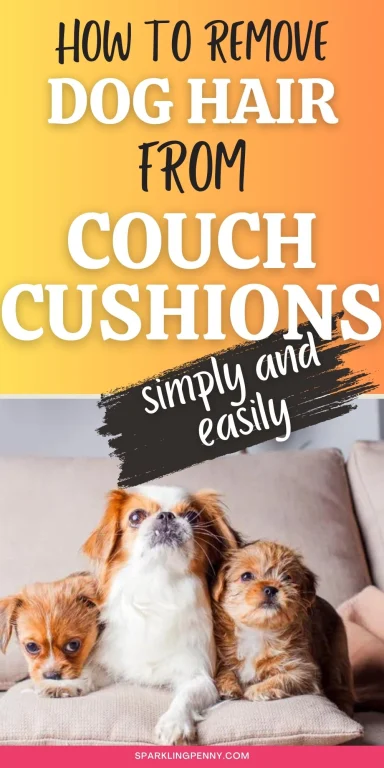 How To Remove Dog Hair From Couch Cushions - Sparkling Penny