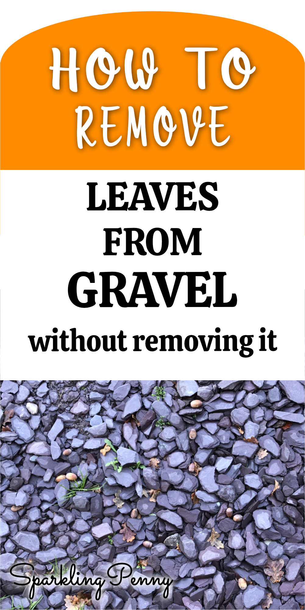 How To Remove Leaves From Gravel (without removing the gravel too ...