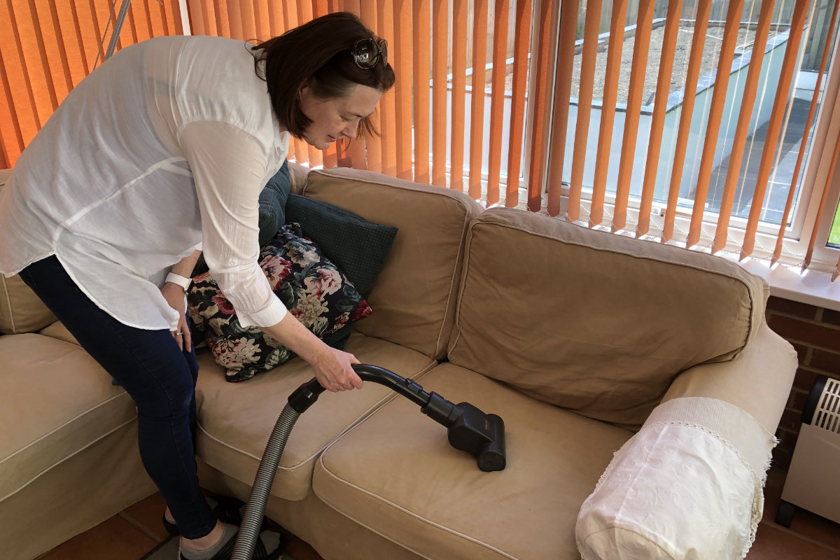 How To Remove Dog Hair From Couch Cushions - Sparkling Penny