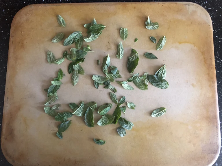 How To Dry Mint Leaves In Your Microwave (takes seconds) - Sparkling Penny