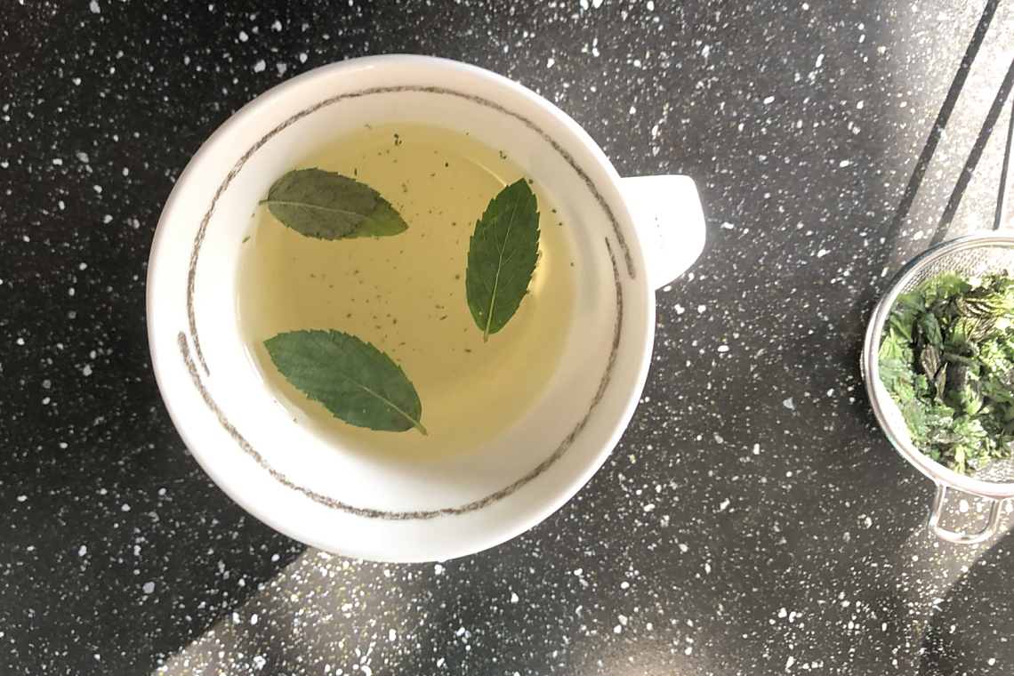 How To Dry Mint Leaves In Your Microwave (takes seconds) - Sparkling Penny