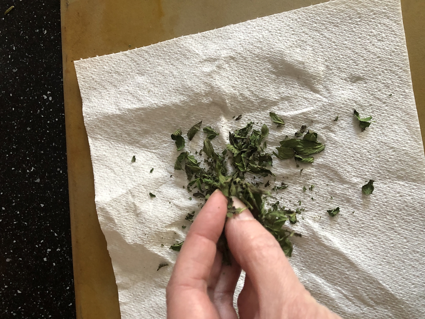How To Dry Mint Leaves In Your Microwave (takes seconds) - Sparkling Penny