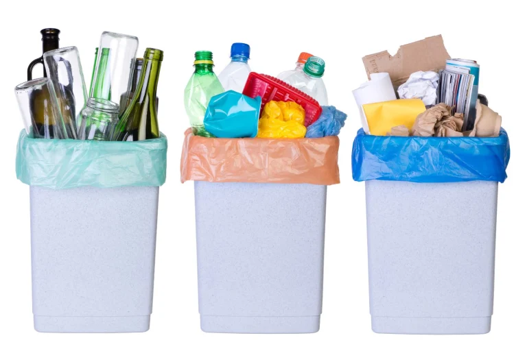 Use This 7 Step Action Plan To Make Your Cleaning Routine Eco-Friendly ...