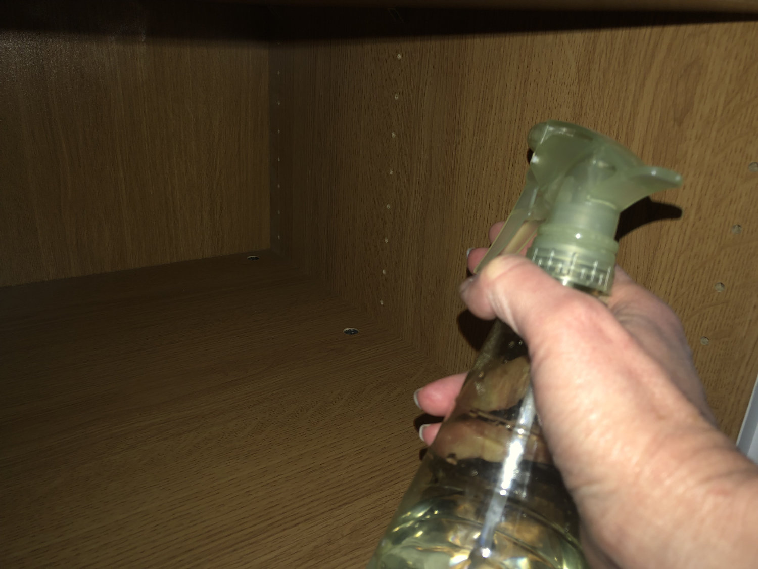How To Get Rid Of Smells in Your Closet - Sparkling Penny