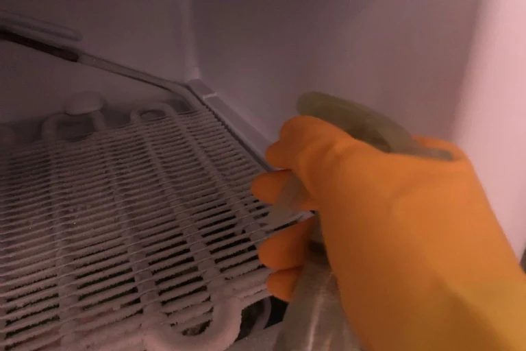How To Clean Out Your Freezer Without Defrosting It - Sparkling Penny